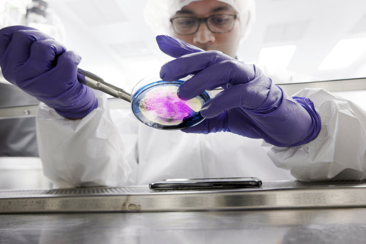 In conversation with Susan Linna of BDO - BioTuesdays