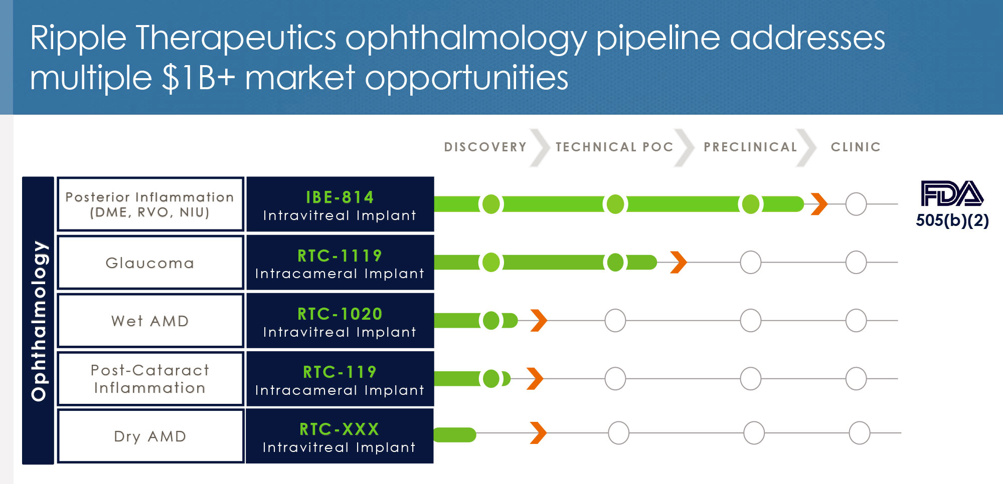 Ripple Therapeutics lead candidate attracts strategic investment and ...
