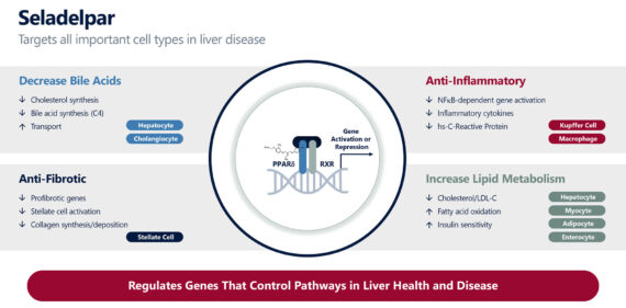 CymaBay laser focused on seladelpar pivotal trial for PBC - BioTuesdays