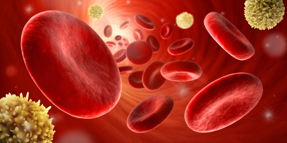 Sigyn Therapeutics outlines first-in-human clinical strategy for its ...