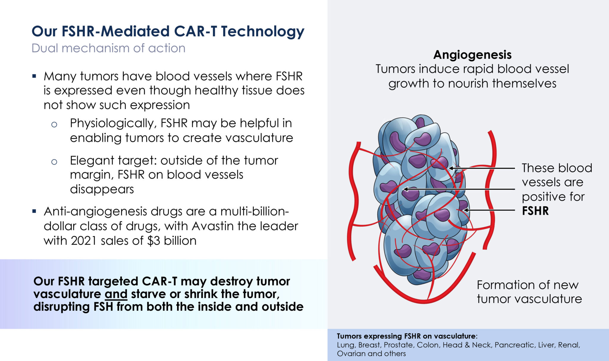 Anixa vaccines targeting unique mechanism in breast, ovarian cancer ...